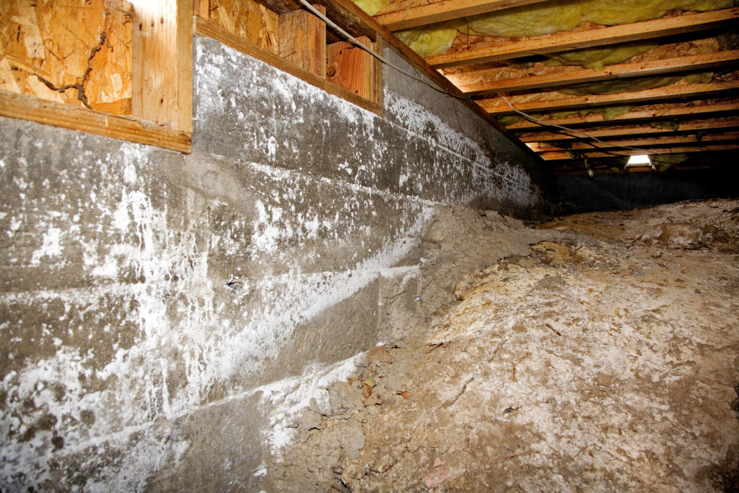 Decoding Crawlspace Waterproofing: A Comprehensive Guide