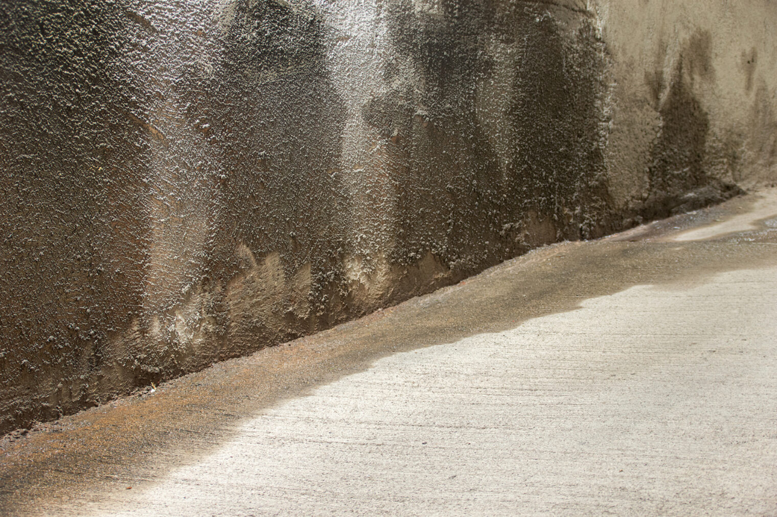 How to Use Wet Wall Bonding Primer for a Professional Finish